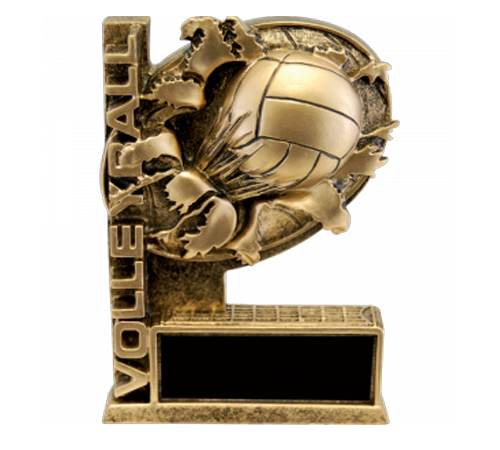 VB Bust Out Award | Midwest Volleyball Warehouse